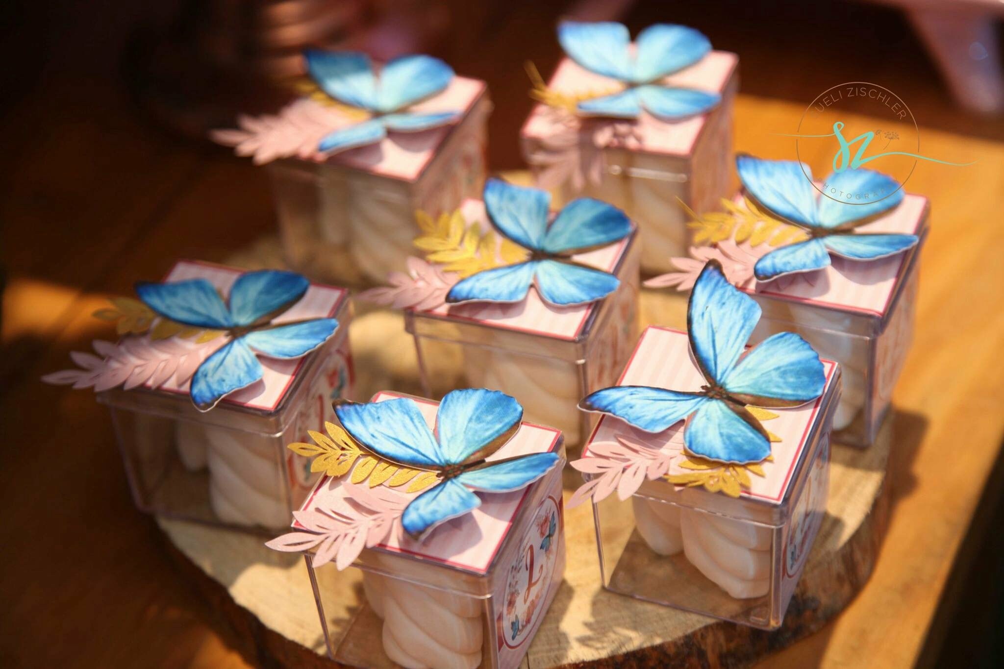 41FDF8EB-7EB0-4773-864F-DC7C244596CD - Mundo Kids