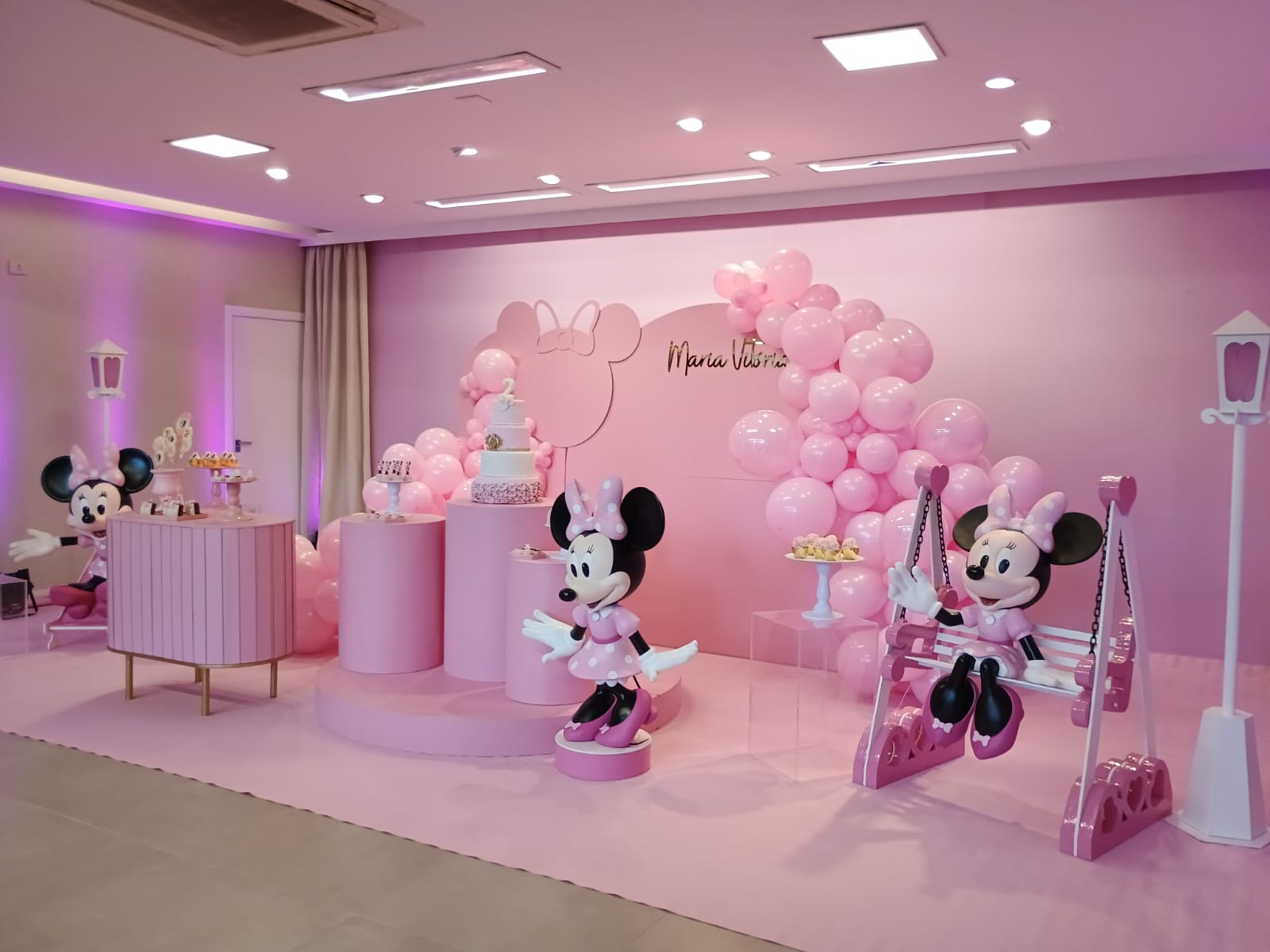 Minnie Rosa Conceitual